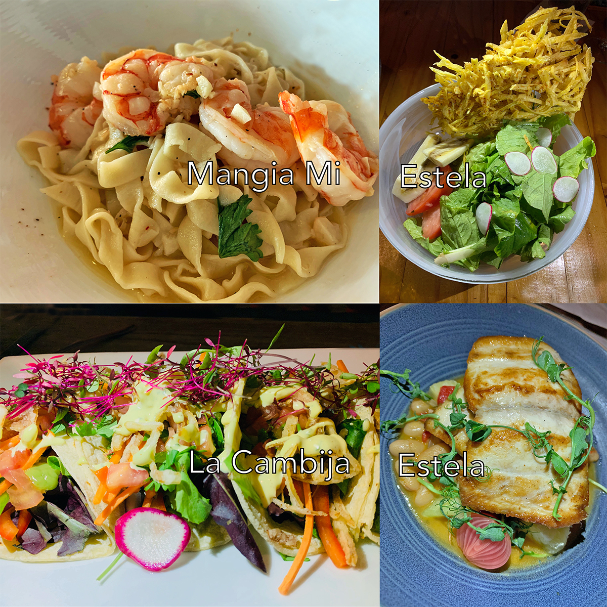 La gastronomía en Rincón, Puerto Rico - El Exquisito